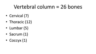 Introduction to 206 bones of the human body | PPTX