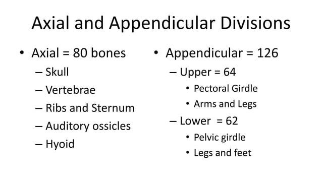 Introduction to 206 bones of the human body | PPTX