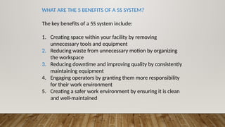 Introduction to 5S methodology from Japan | PPTX