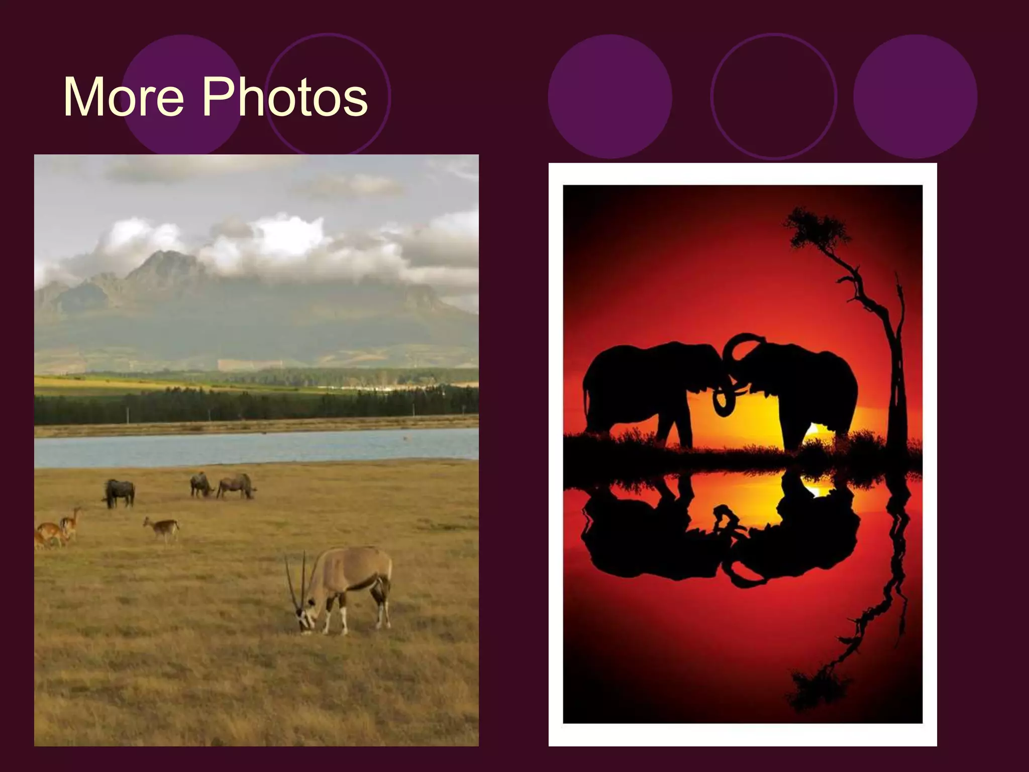 introduction_to_africa.ppt