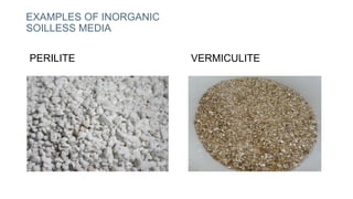 introduction to Agriculture and components.pptx