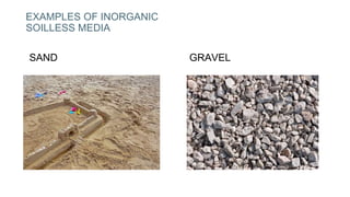 introduction to Agriculture and components.pptx