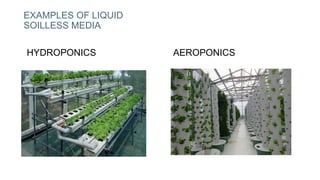 introduction to Agriculture and components.pptx