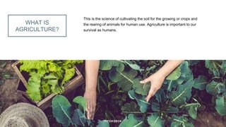 introduction to Agriculture and components.pptx