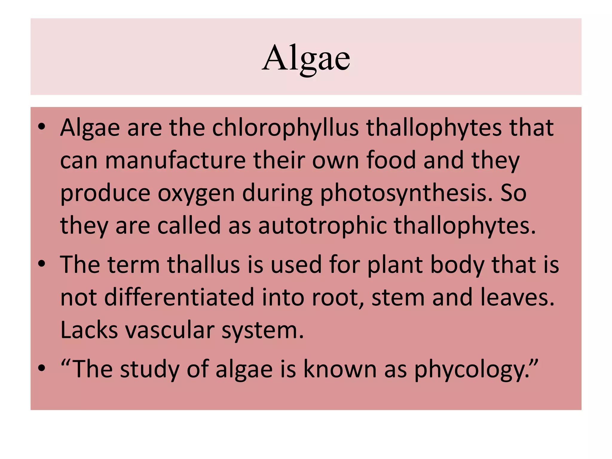 introductiontoalgae.pptx