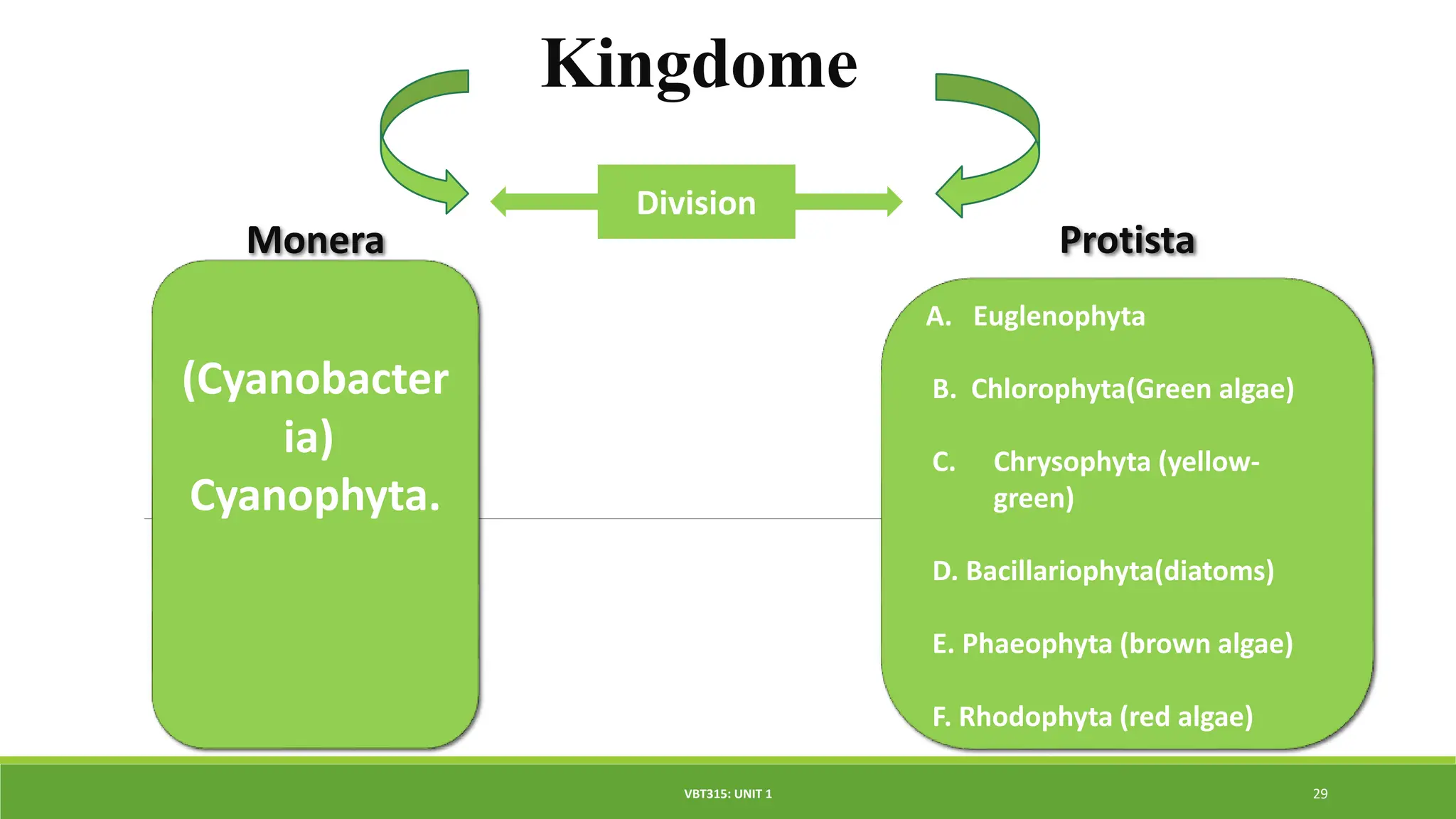 Introduction to Algae and its classification | PPT