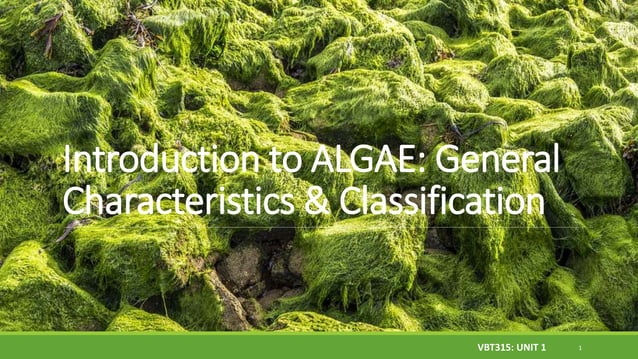 Introduction to Algae and its classification | PPT | Biological ...