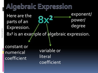 Introduction to algebra | PPSX