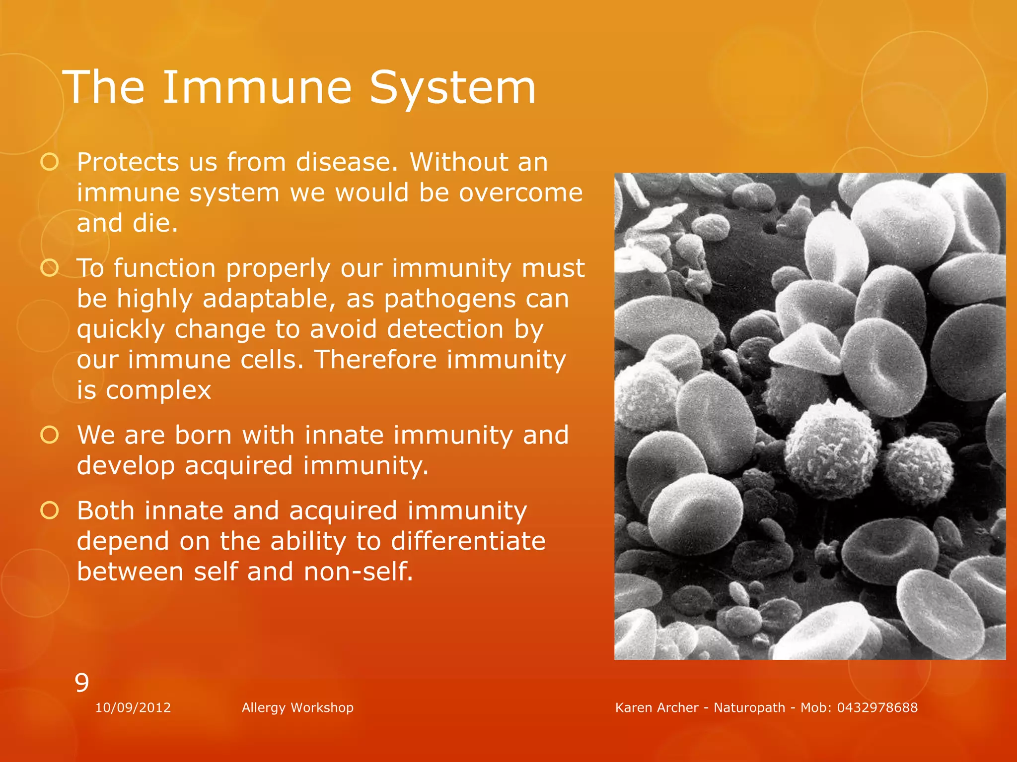 Introduction to allergy | PPTX