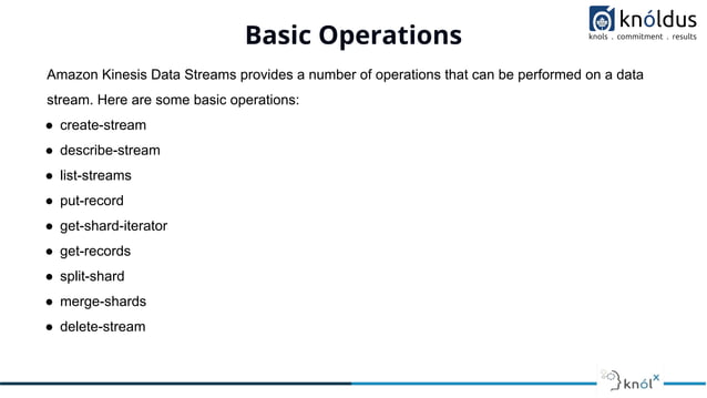 Introduction to Amazon Kinesis Data Streams | PDF | Databases | Computer Software and Applications