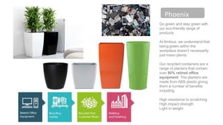 Introduction to Ambius | PPT