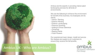 Introduction to Ambius | PPT