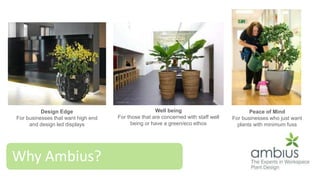 Introduction to Ambius | PPT