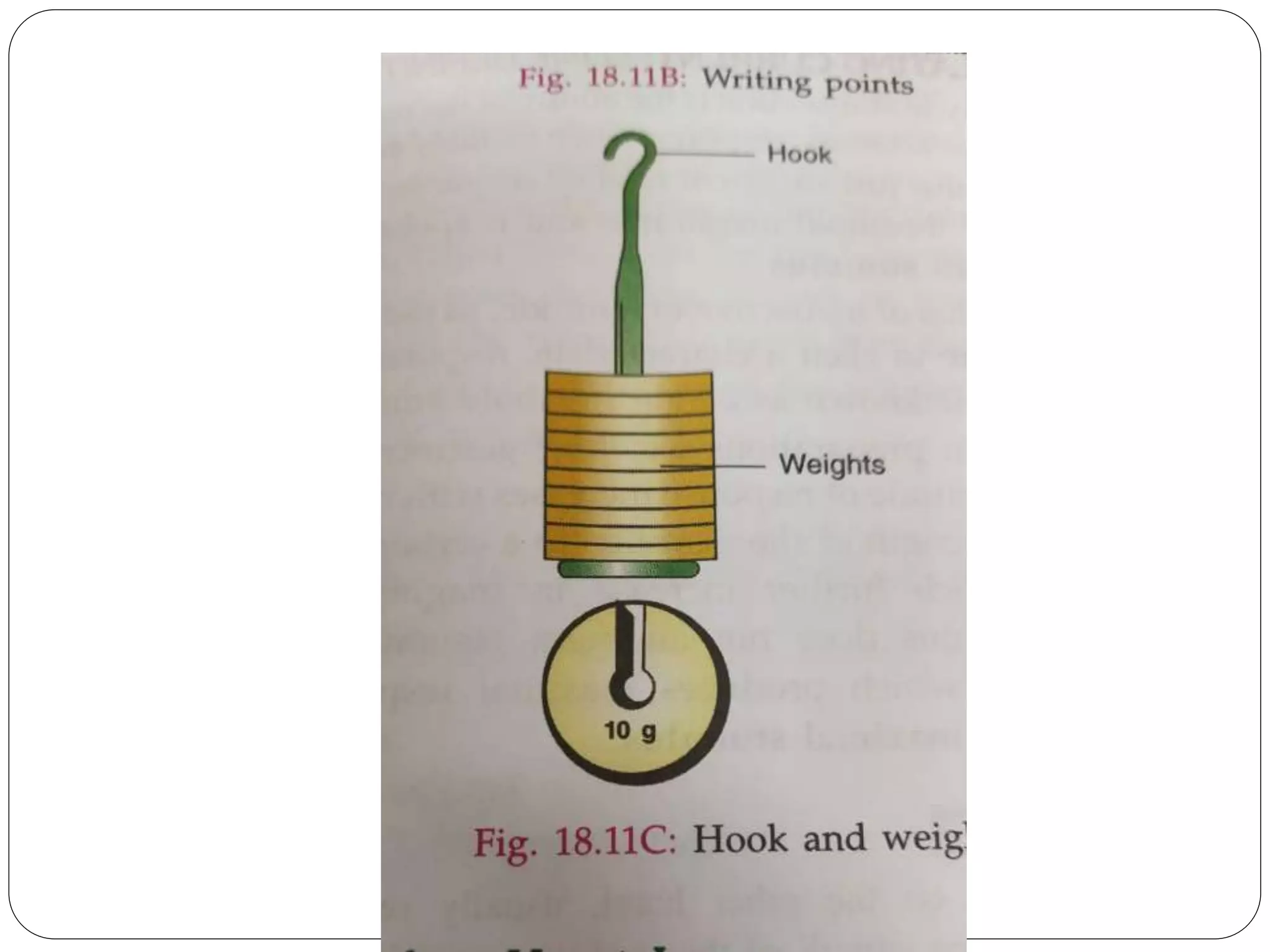 Introduction to amphibian experiments | PDF