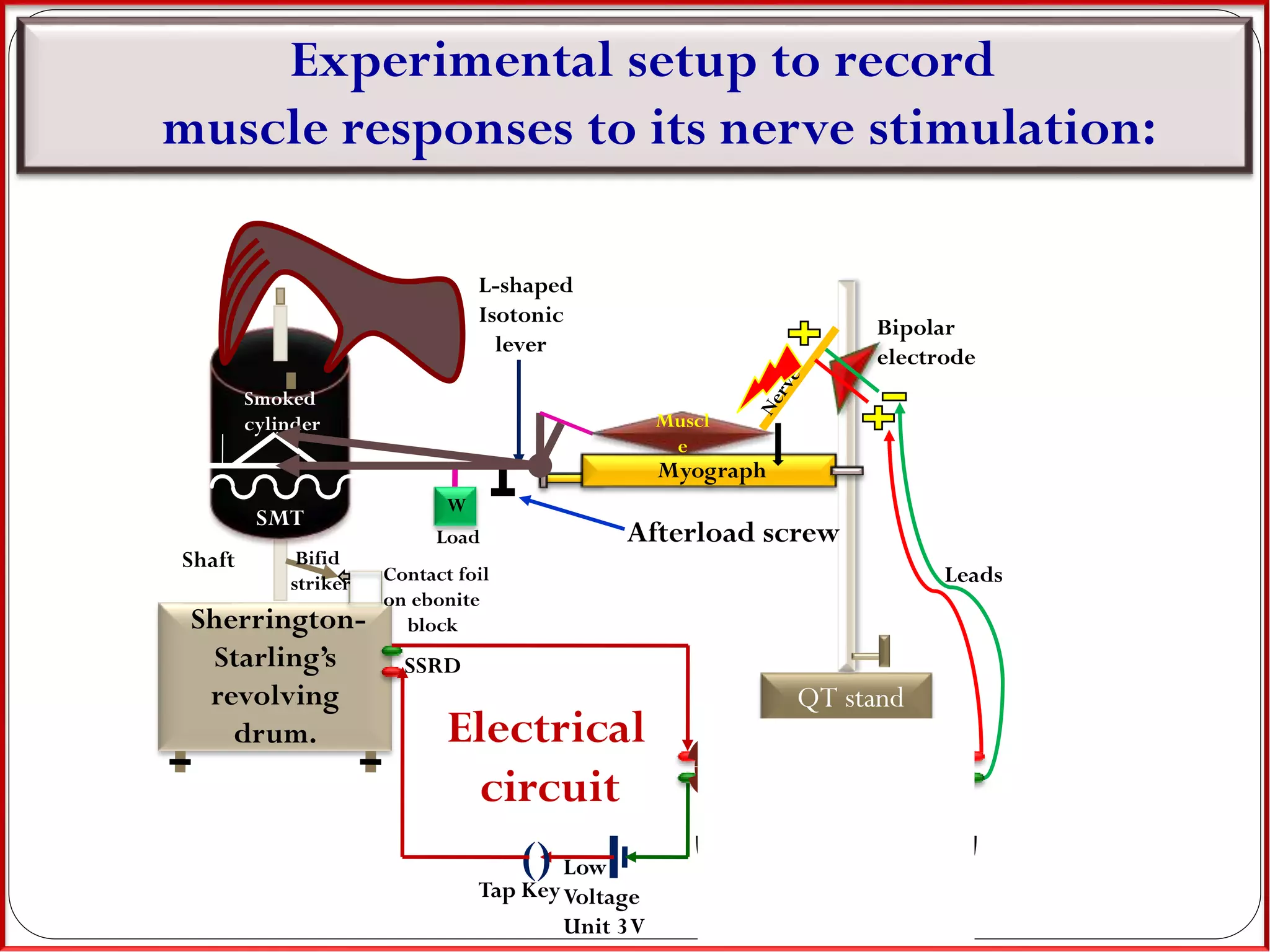 Introduction to amphibian experiments | PDF