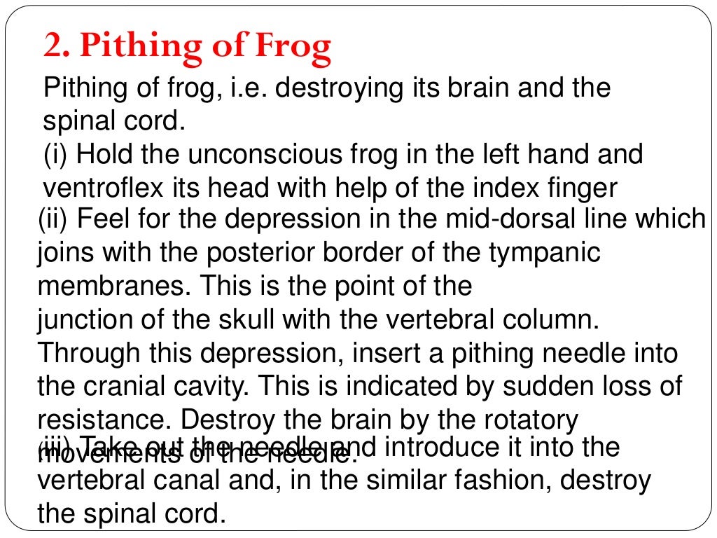 Introduction To Amphibian Experiments