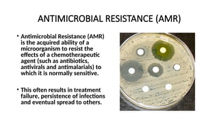 Introduction to AMR in Laboratory Settings (An Overview).pptx