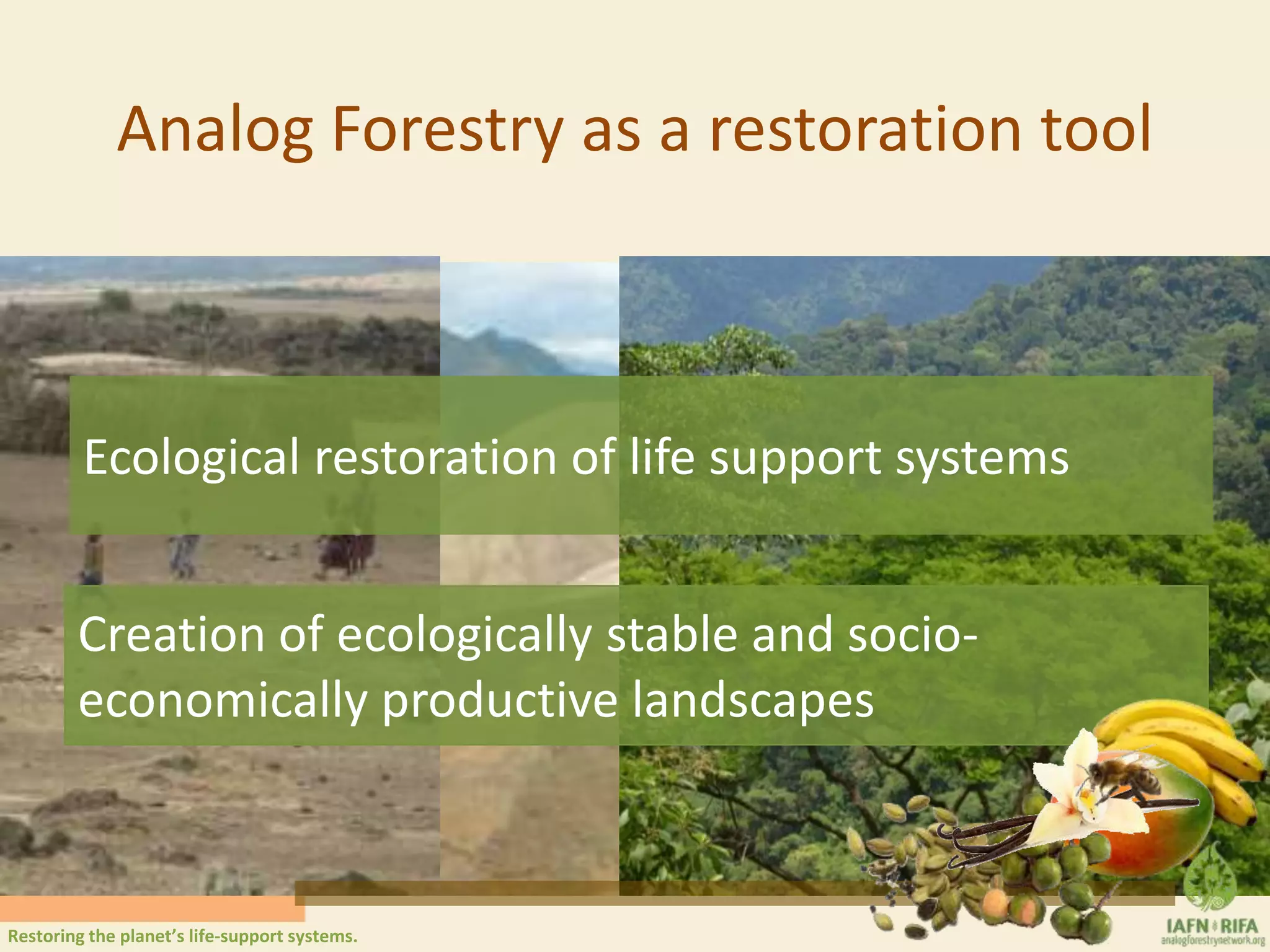 Introduction to analog forestry | PPTX