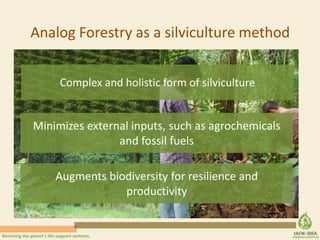 Introduction to analog forestry | PPTX