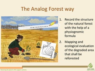 Introduction to analog forestry | PPTX