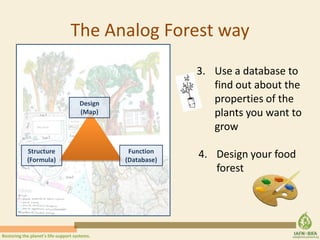 Introduction to analog forestry | PPTX