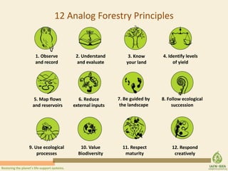Introduction to analog forestry | PPTX