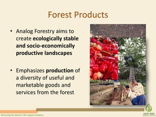Introduction to analog forestry | PPTX