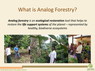 Introduction to analog forestry | PPTX