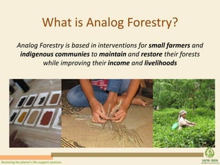 Introduction to analog forestry | PPTX