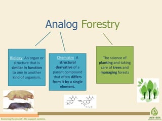 Introduction to analog forestry | PPTX