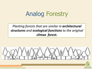 Introduction to analog forestry | PPTX