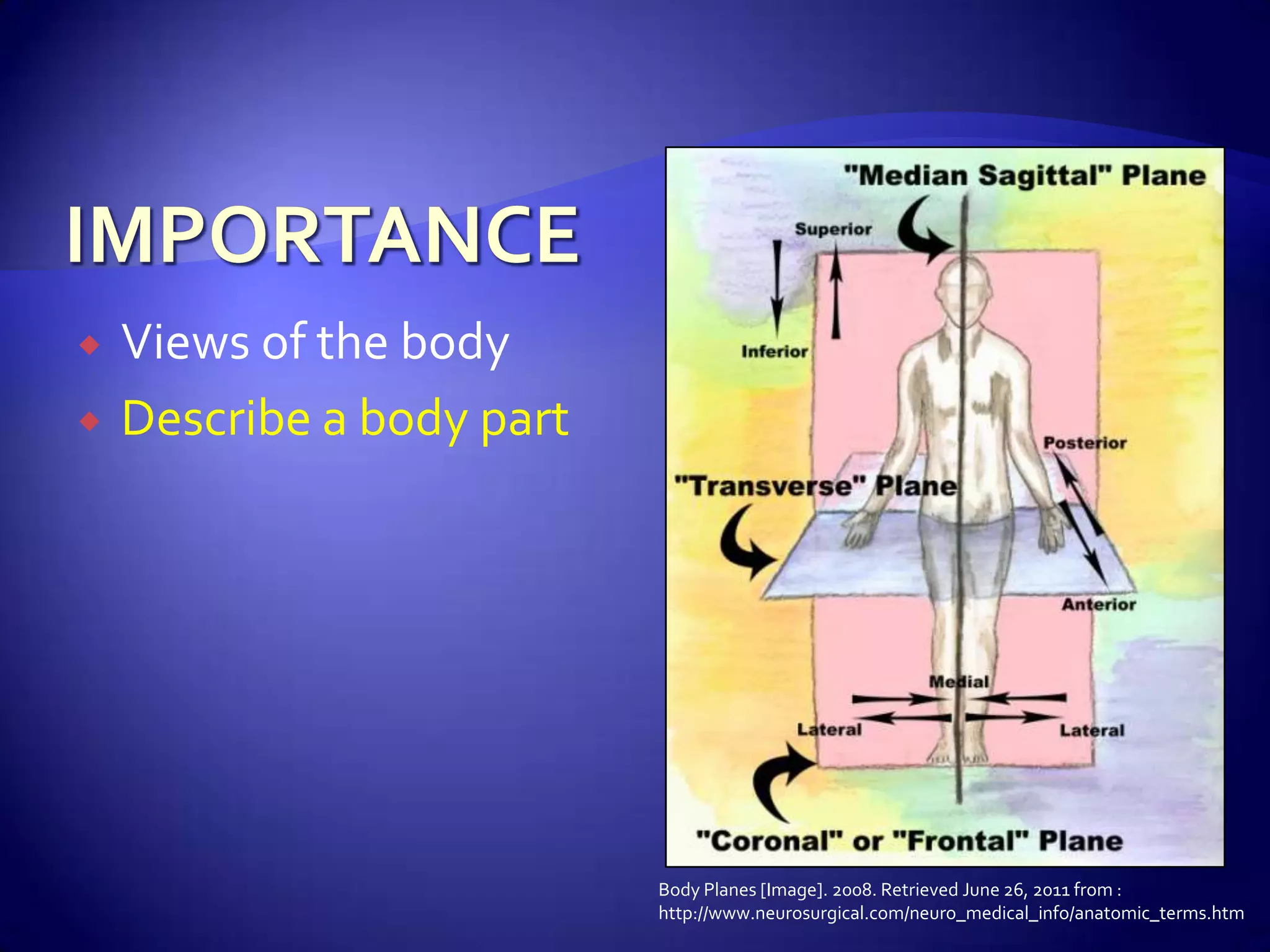 Introduction to anatomical planes | PPTX
