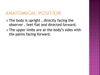 INTRODUCTION TO ANATOMICAL TERMS, anatomy and physiology introduction ...