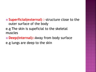 INTRODUCTION TO ANATOMICAL TERMS, anatomy and physiology introduction ...