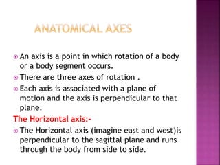 INTRODUCTION TO ANATOMICAL TERMS, anatomy and physiology introduction ...