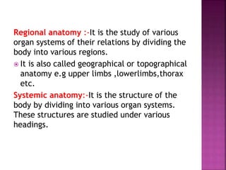 INTRODUCTION TO ANATOMICAL TERMS, anatomy and physiology introduction ...