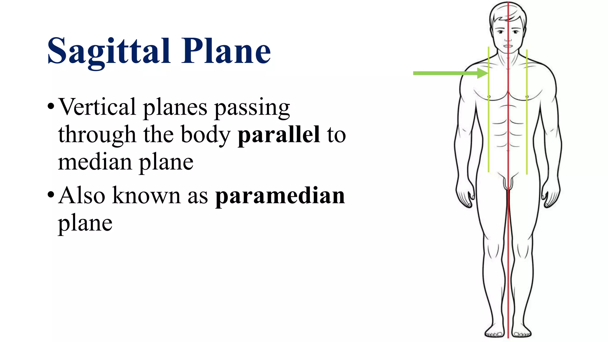 Introduction to anatomicomedical terms | PDF