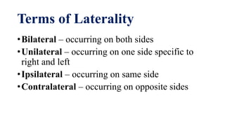 Introduction to anatomicomedical terms | PDF