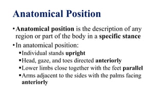 Introduction to anatomicomedical terms | PPT