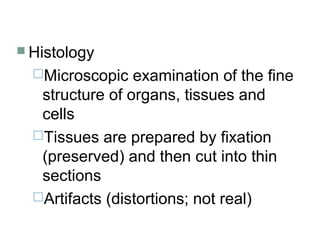 Introduction to anatomy | PPT