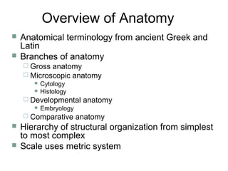 Introduction to anatomy | PPT