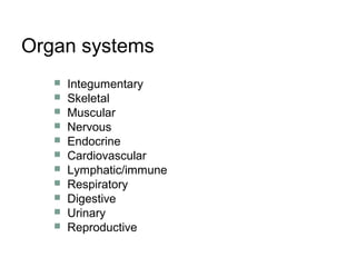 Introduction to anatomy | PPT