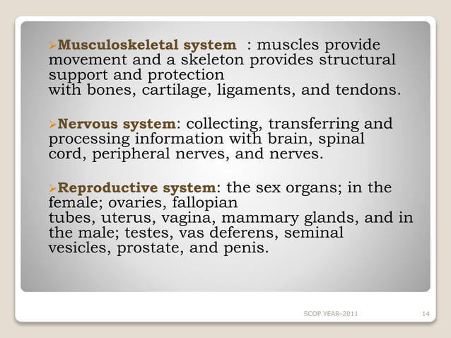 Introduction to anatomy | PPT