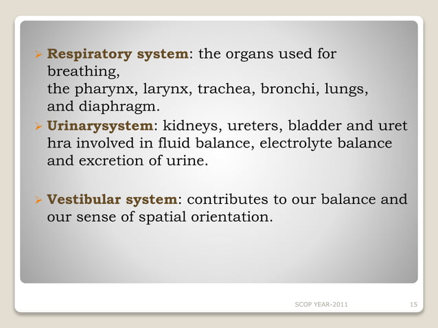 Introduction to anatomy | PPT