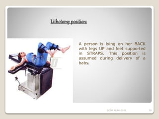 Introduction to anatomy | PPT