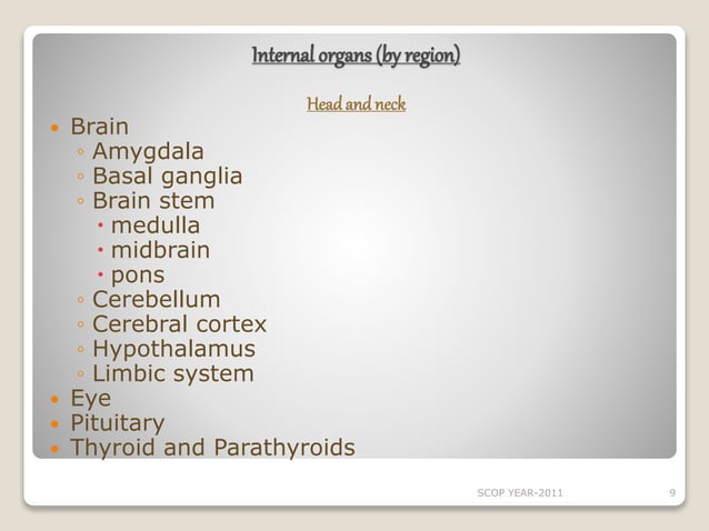 Introduction to anatomy | PPT