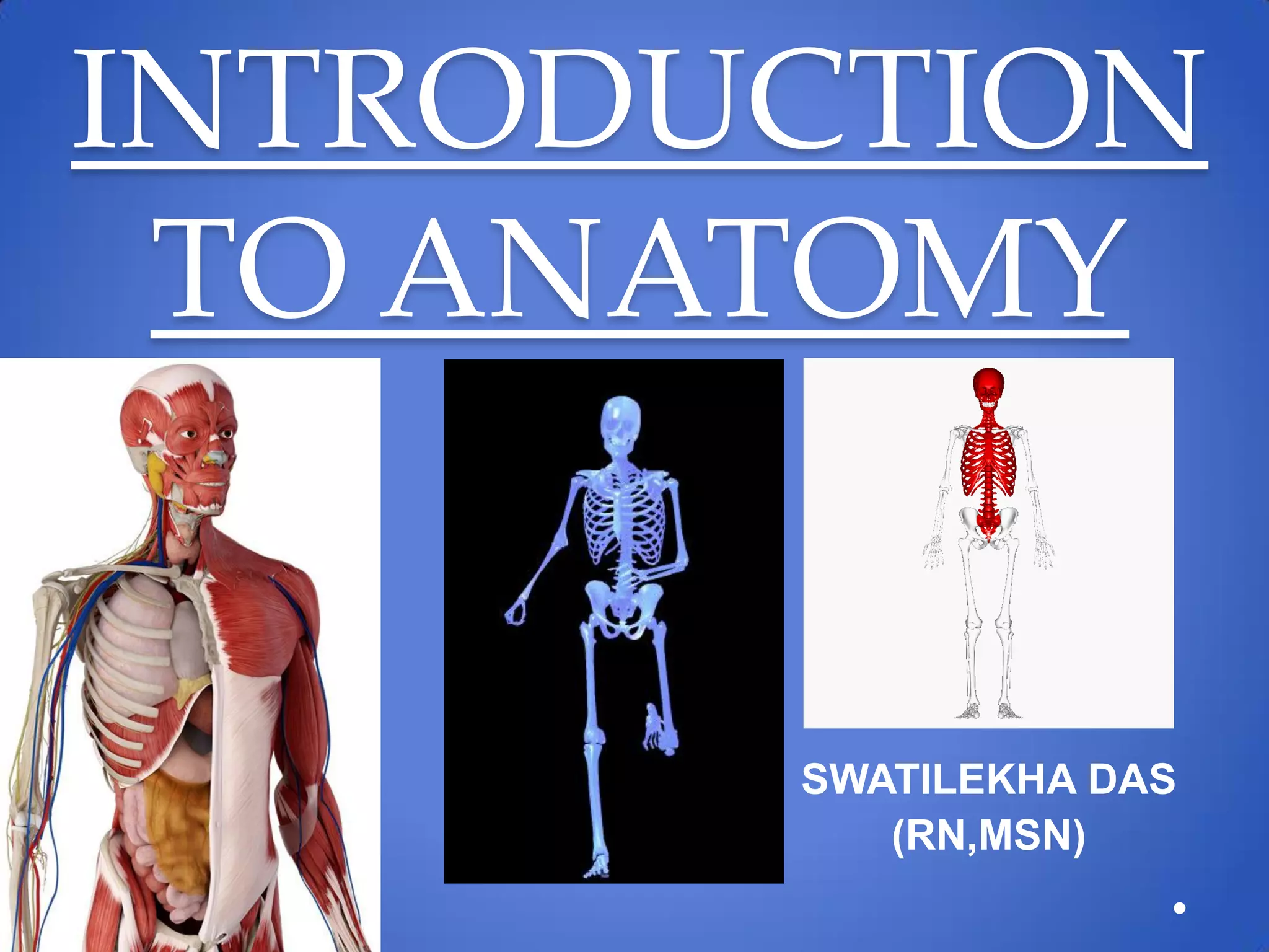 Introduction to anatomy- easy explanation | PDF