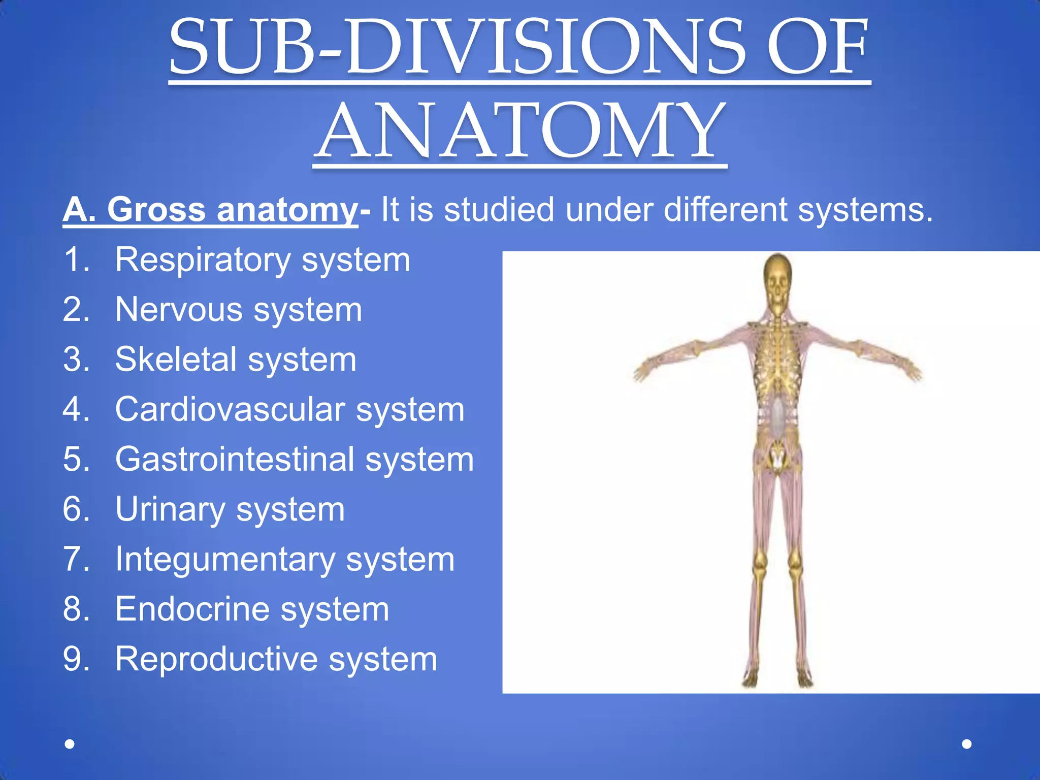 Introduction to anatomy- easy explanation | PDF