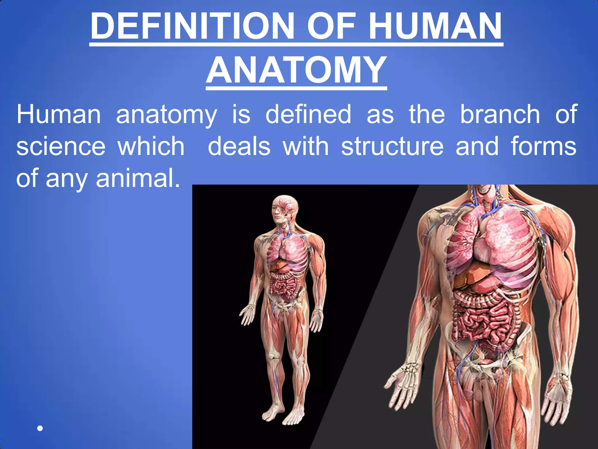 Introduction to anatomy- easy explanation | PDF