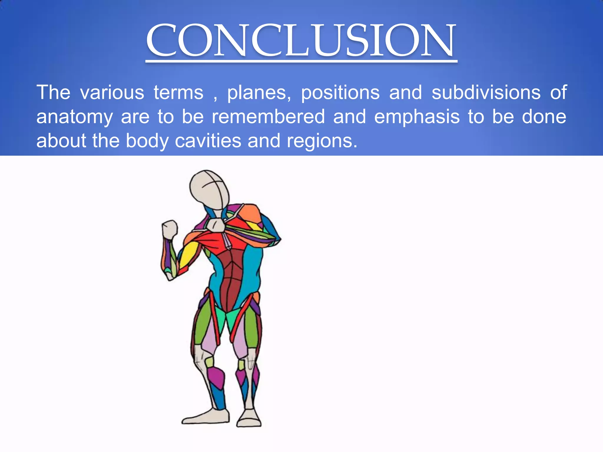 Introduction to anatomy- easy explanation | PDF